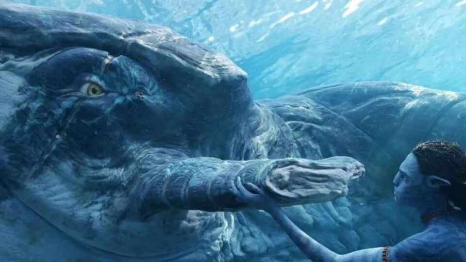 Avatar 3 confirma un épico regreso - Cinemascomics.com