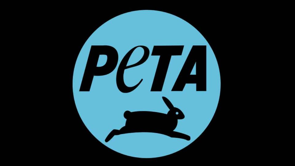 PETA elogia a Guardianes de la Galaxia Vol 3