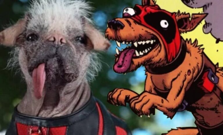 Deadpool 3: Nueva imagen de Dogpool - Cinemascomics.com
