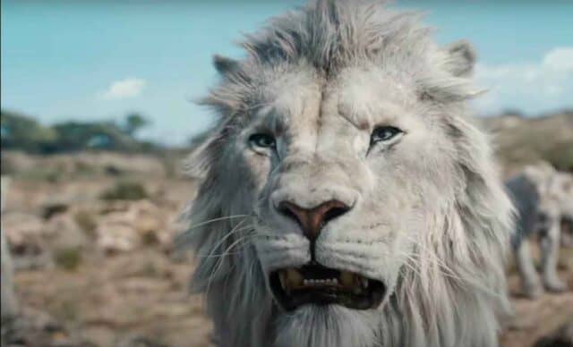 Los leones blancos en Mufasa: Entre la realidad y ficción