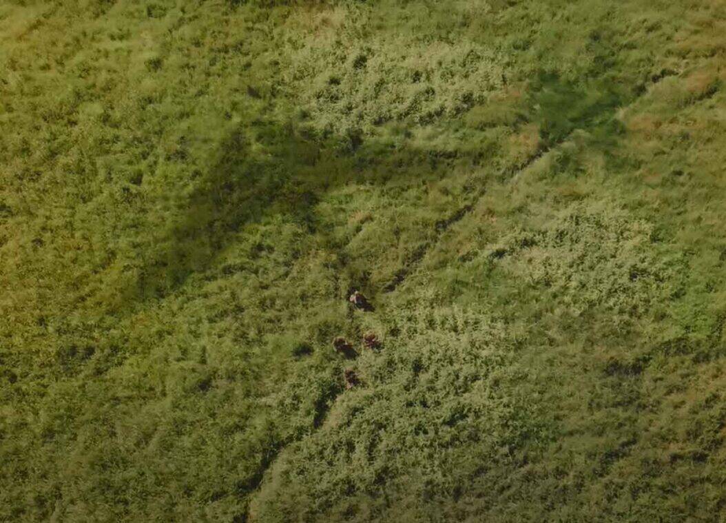 Los dinosaurios van a la guerra en el tráiler de Primitive War | Cine ...